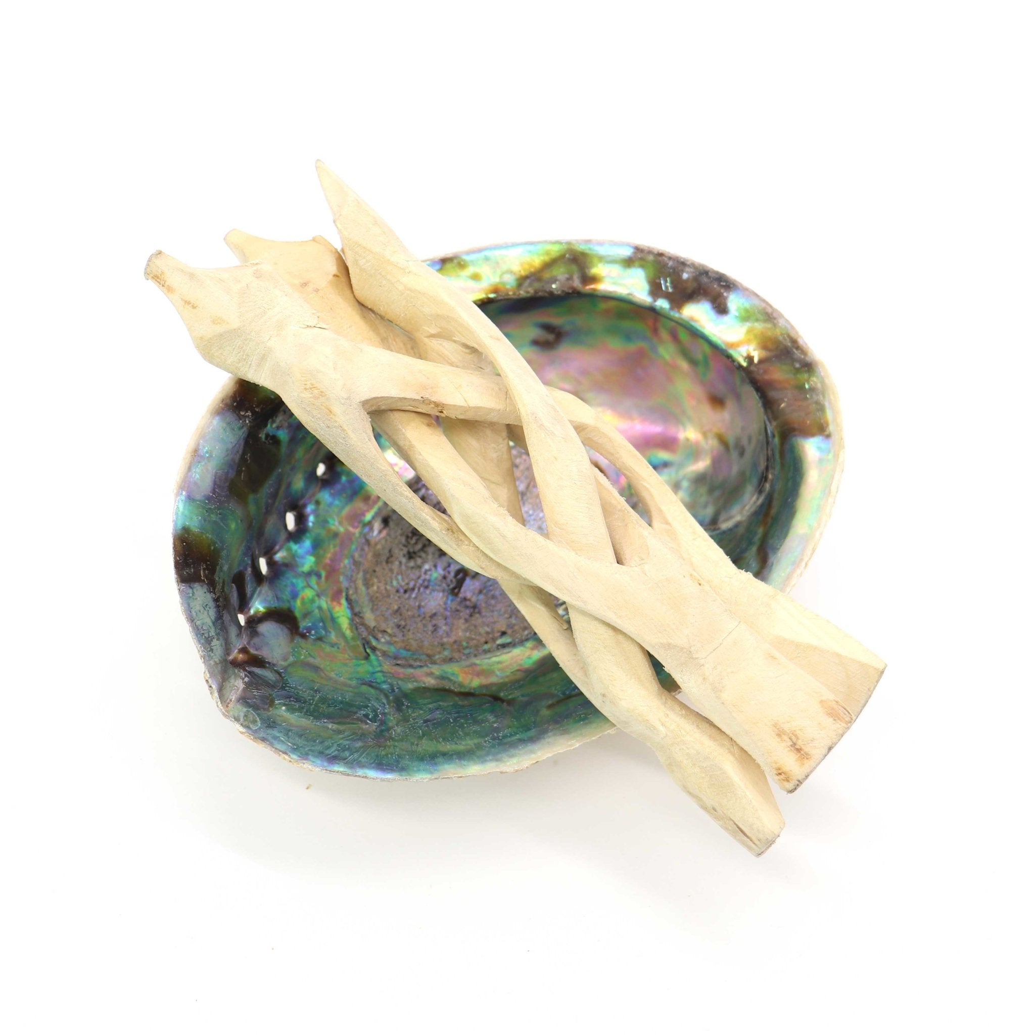 Abalone Shell and Stand Set