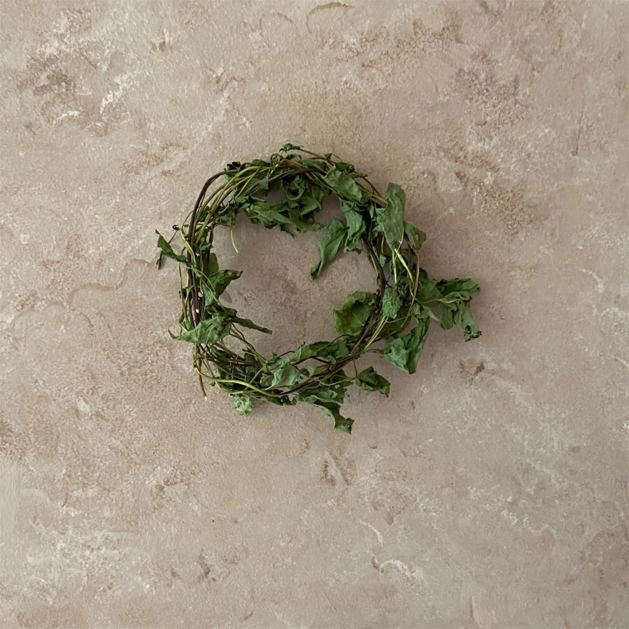 Bind Weed Ring | Blessed Herbs