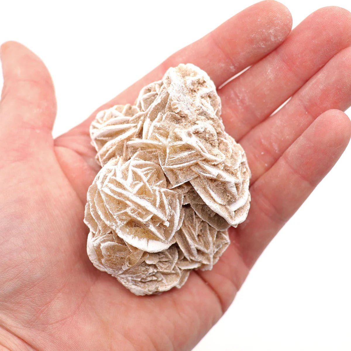 Extra Large Desert Rose | Metaphysical Gemstones & Minerals