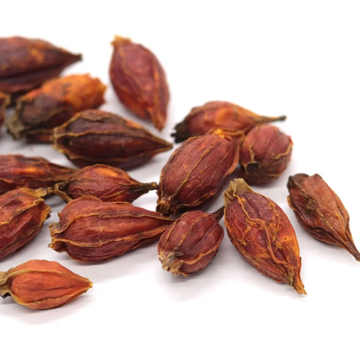 Gardenia Fruit - 1 oz.