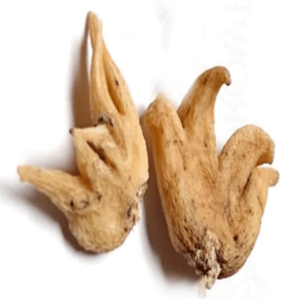 Lucky Hand Root Pair