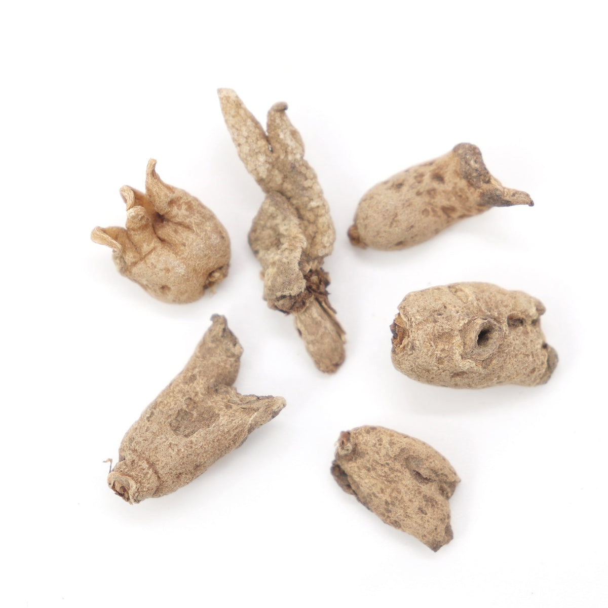 Lucky Hand Root Pair