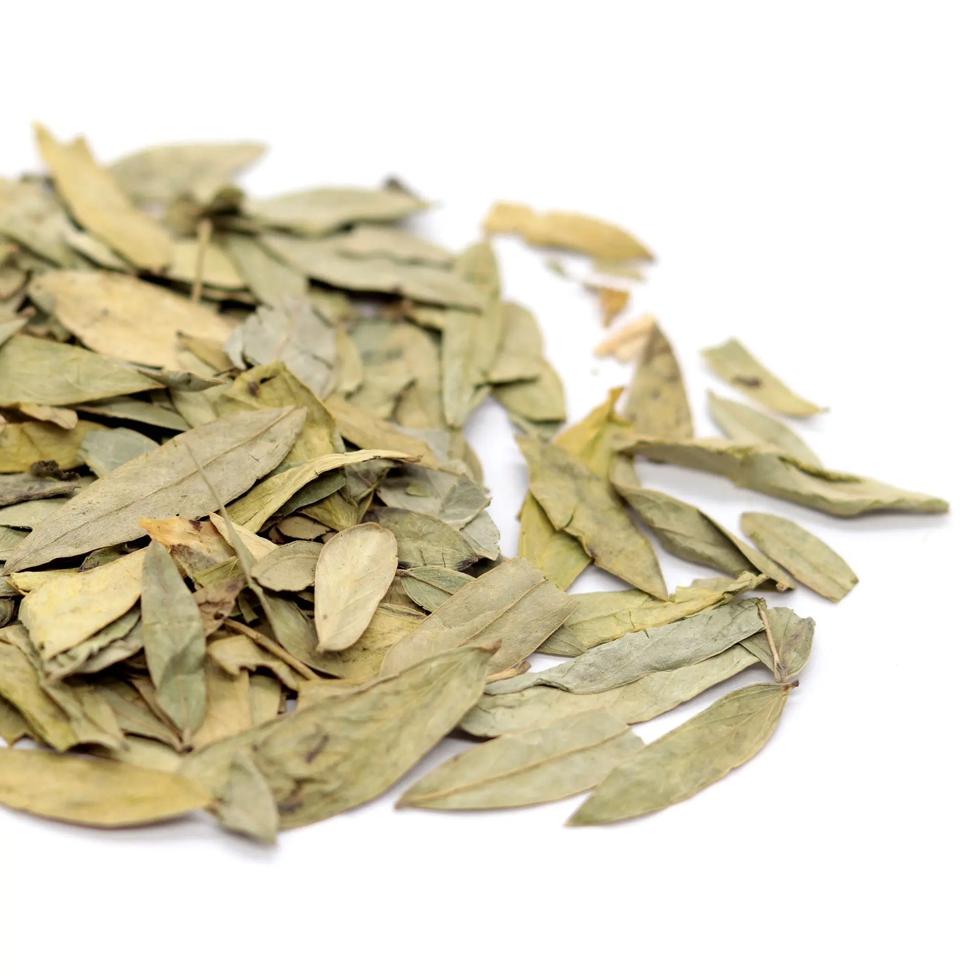 Senna Leaf - 1 oz.