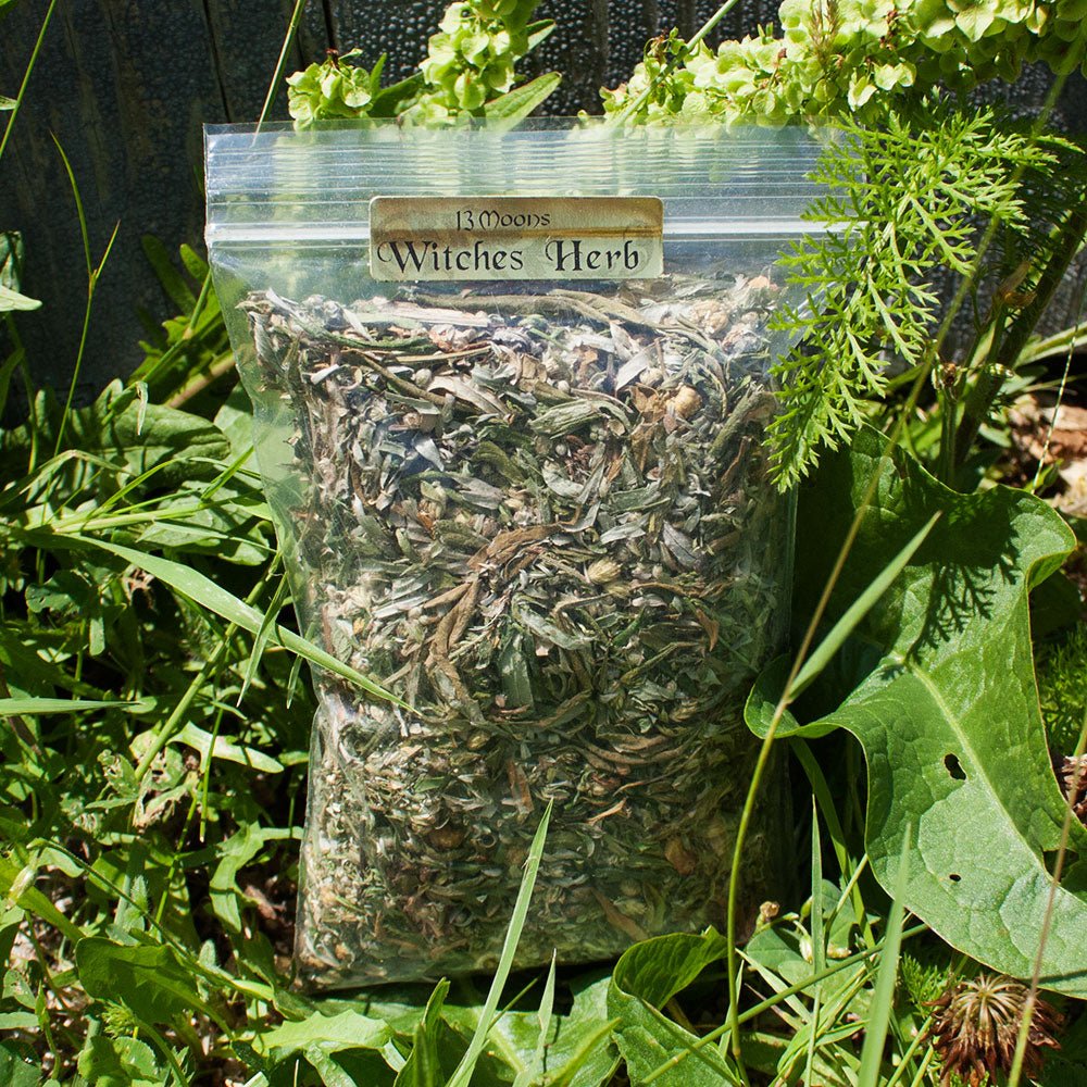 Witches Herb